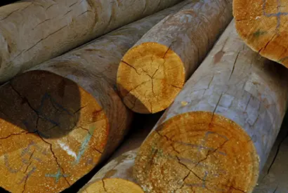 Wood, Pulp & Paper Conveyor Solutions